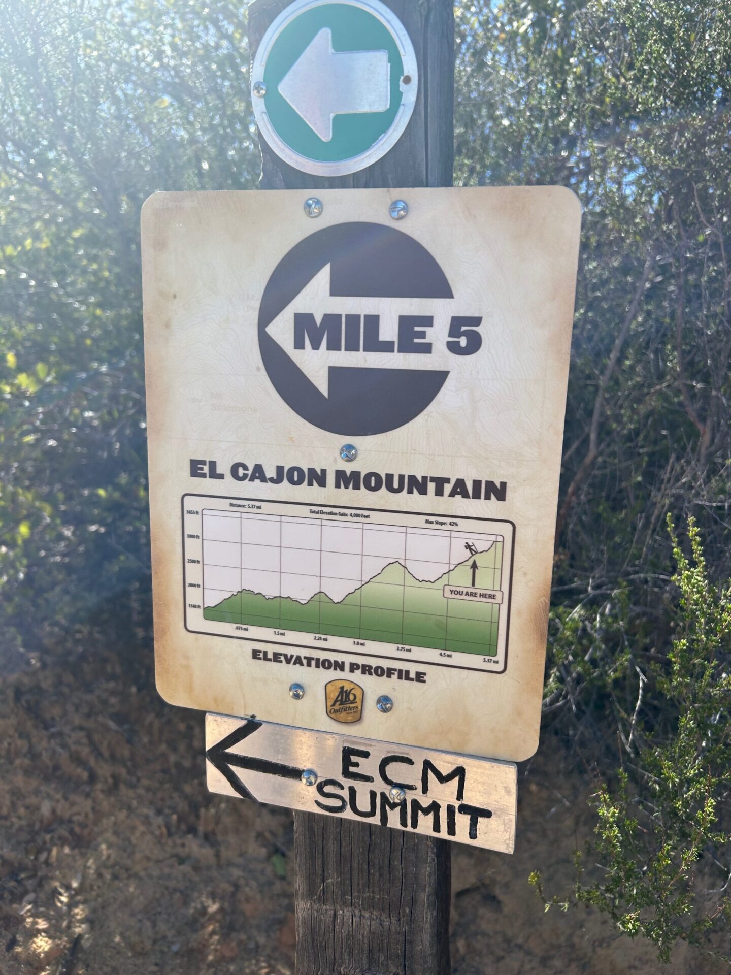 Glute Buster - Social Hiker