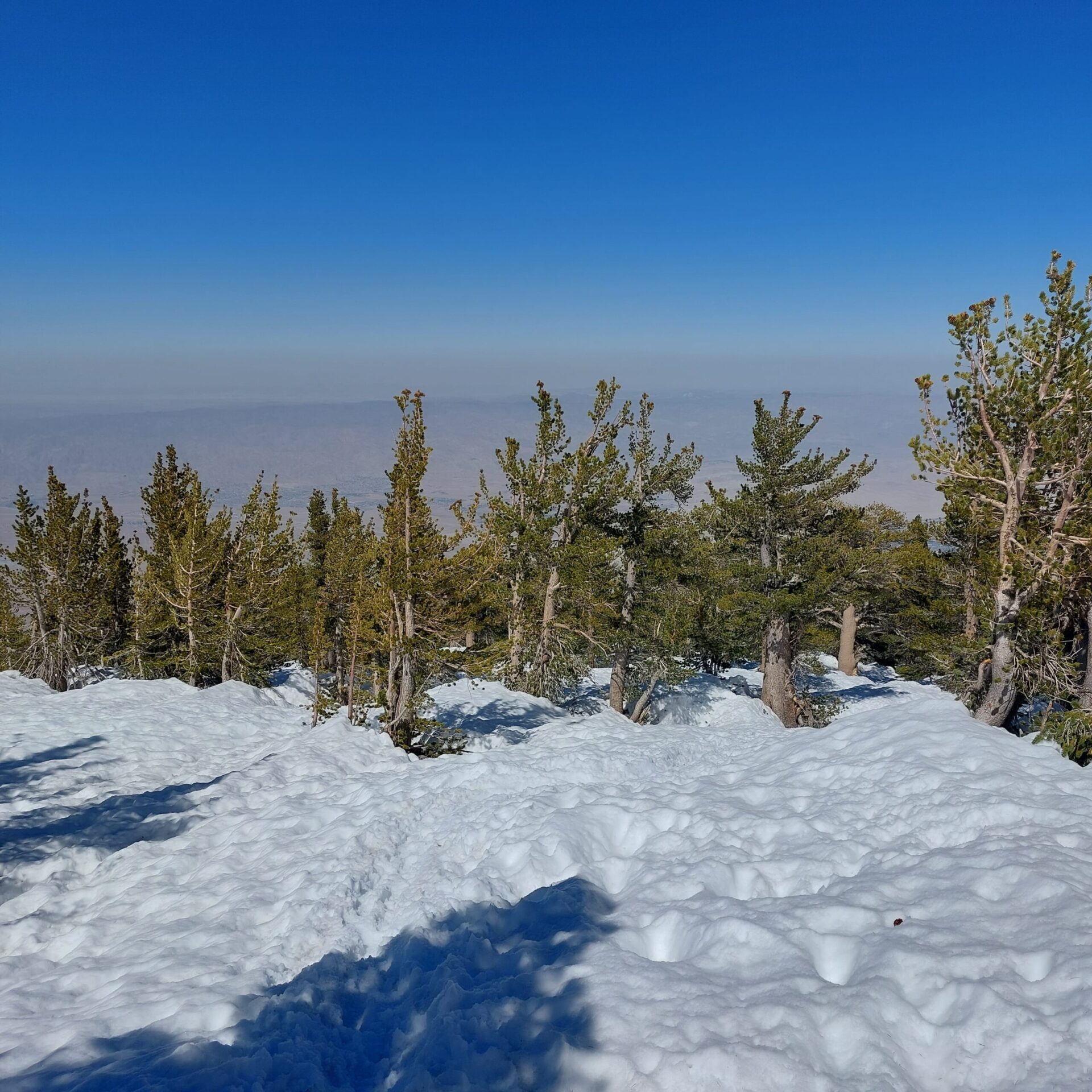 Some Fat Old Guy Takes A Little Walk – Social Hiker